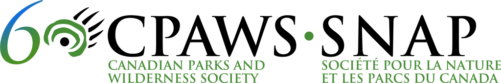 WCPD Foundation - Wealth (WCPD Inc.)